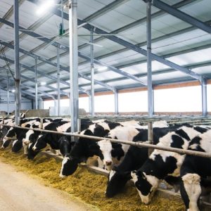 Nurture Growth with Agri Loans from Us